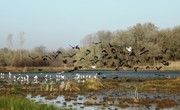 Câmara Municipal de Estarreja