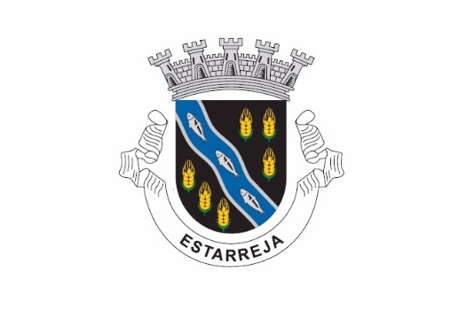 Câmara Municipal de Estarreja