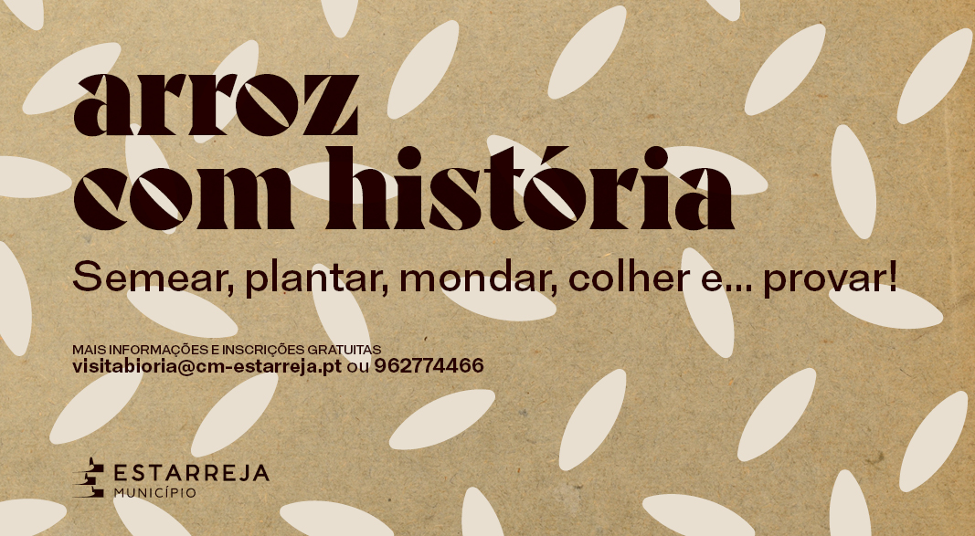 Câmara Municipal de Estarreja
