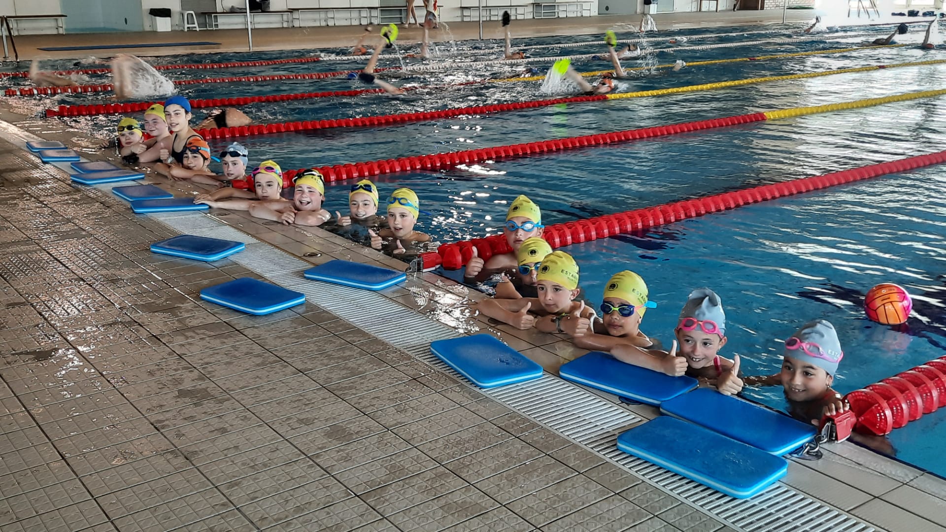 Câmara Municipal de Estarreja